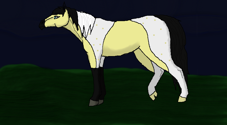 Cameron Ref. by CodeOfArms on DeviantArt