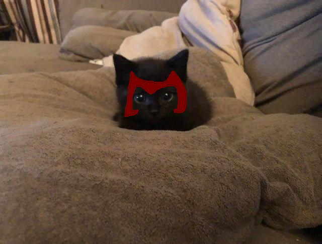 Baby Catra by DexStewart13 on DeviantArt
