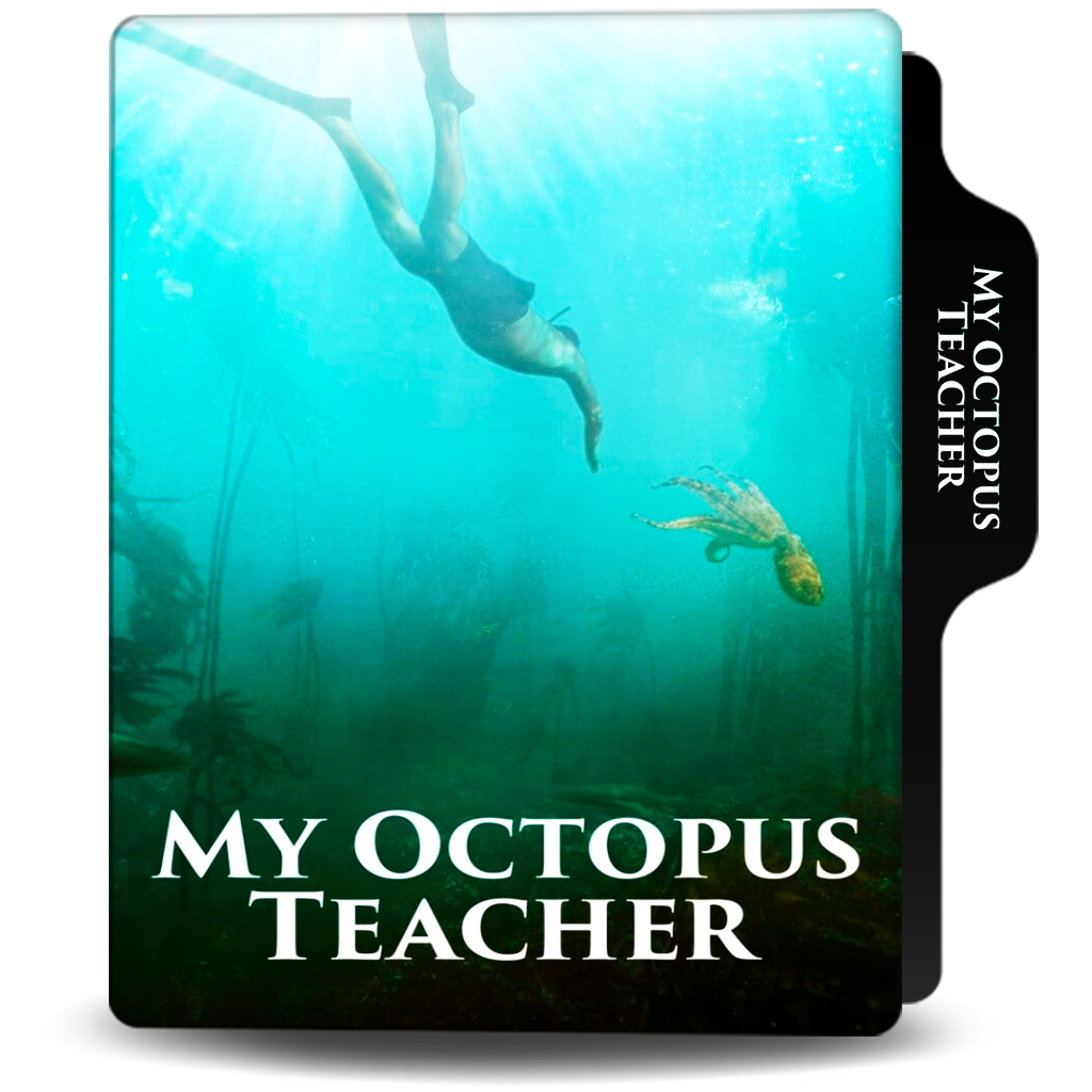 My Octopus Teacher (2020) v1 by rogegomez on DeviantArt