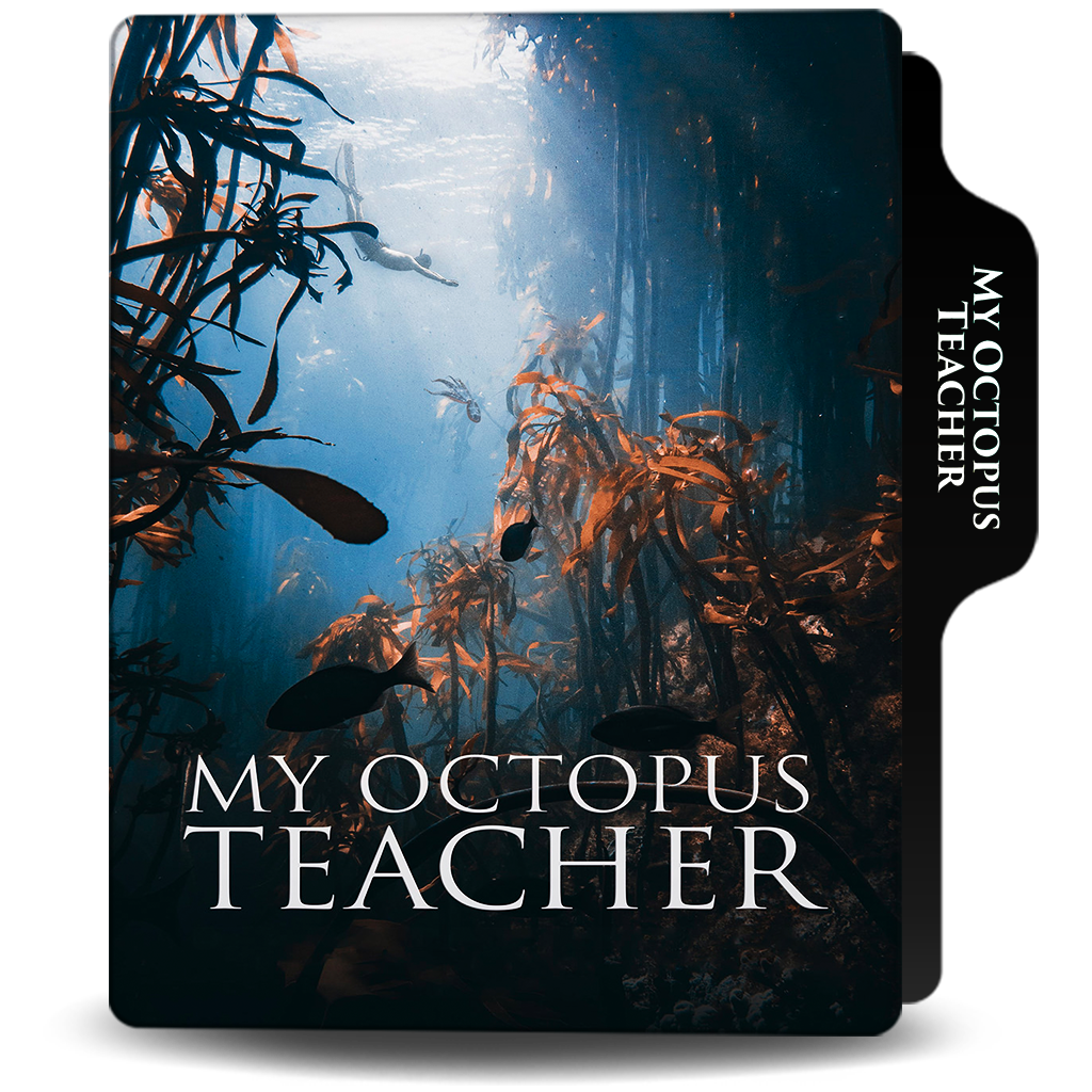 My Octopus Teacher (2020) v3 by rogegomez on DeviantArt
