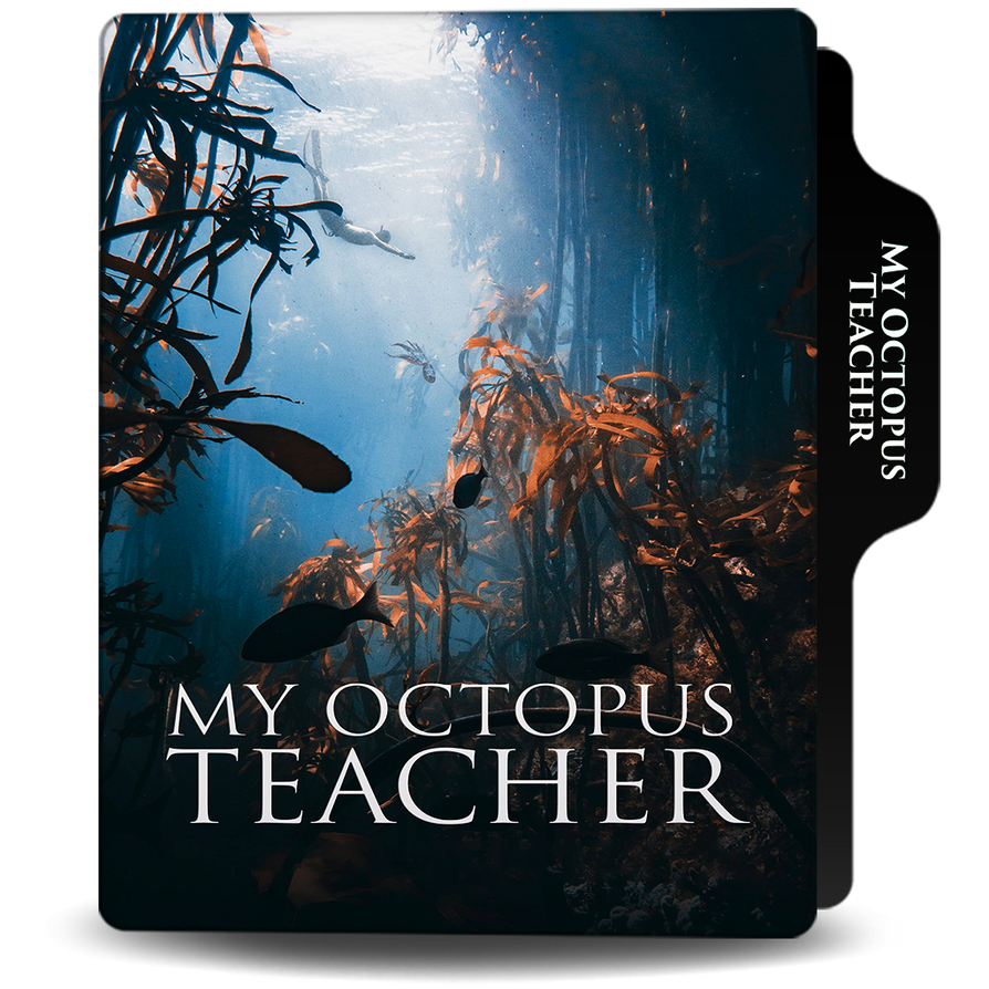 My Octopus Teacher (2020) v3 by rogegomez on DeviantArt