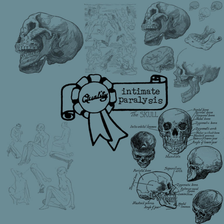 Anatomy 101 By Intimateparalysis On Deviantart