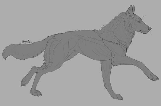 Free-To-Use-Bases | DeviantArt