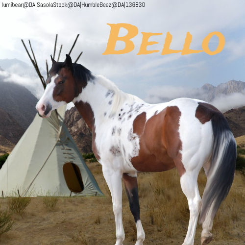 Bello by MClaireB on DeviantArt