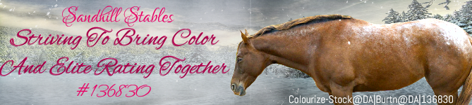 Sandhill Stables Banner HEE by MClaireB on DeviantArt
