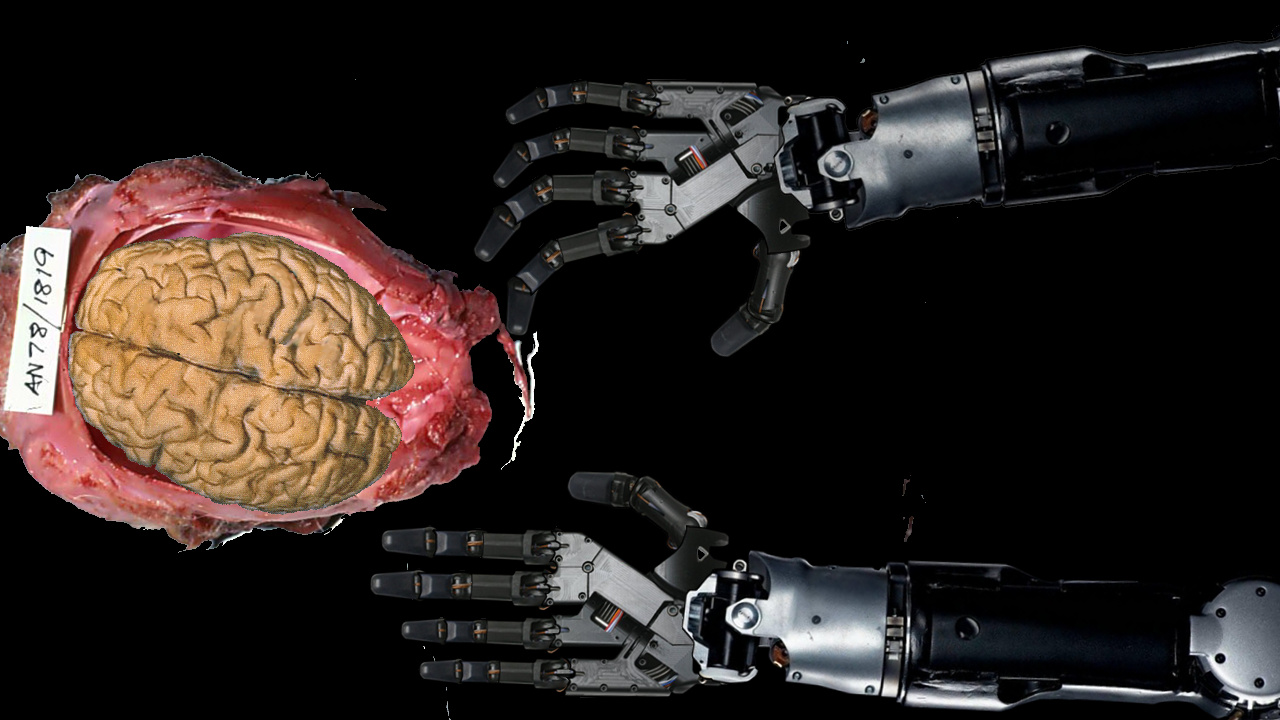 Brain Transplant by TheShir0K on DeviantArt