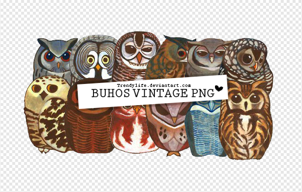Buhos Png TrendyLife by TrendyLife on DeviantArt