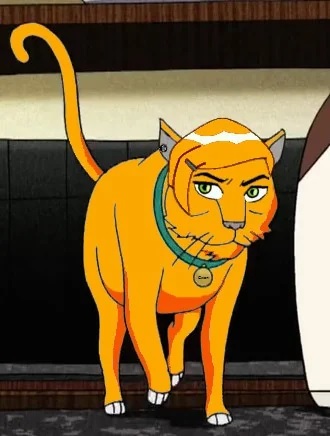 Ben 10 - Gwen Tennyson turned into a cat by austintageous00 on DeviantArt