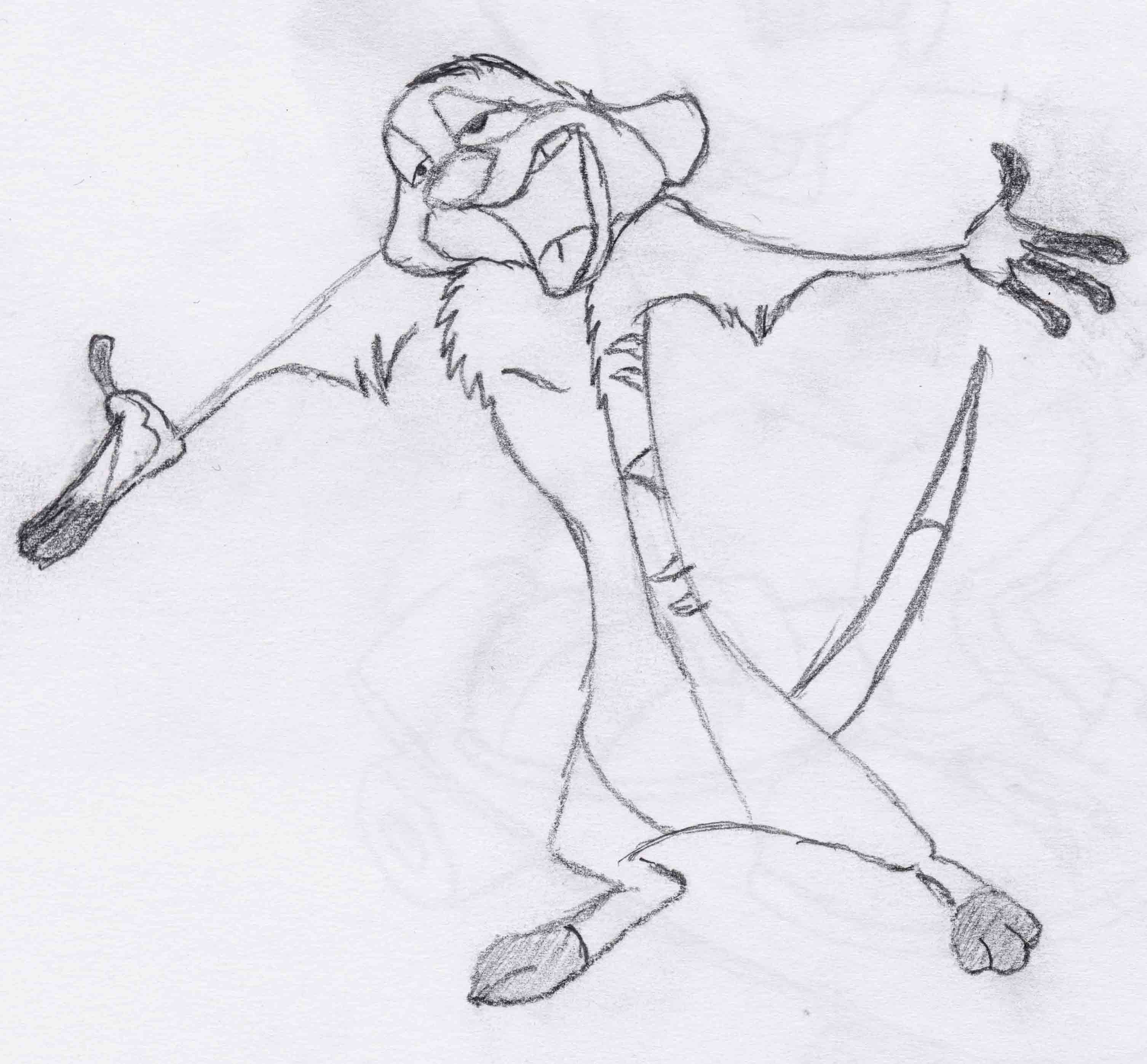 Timon by Artpassion88 on DeviantArt