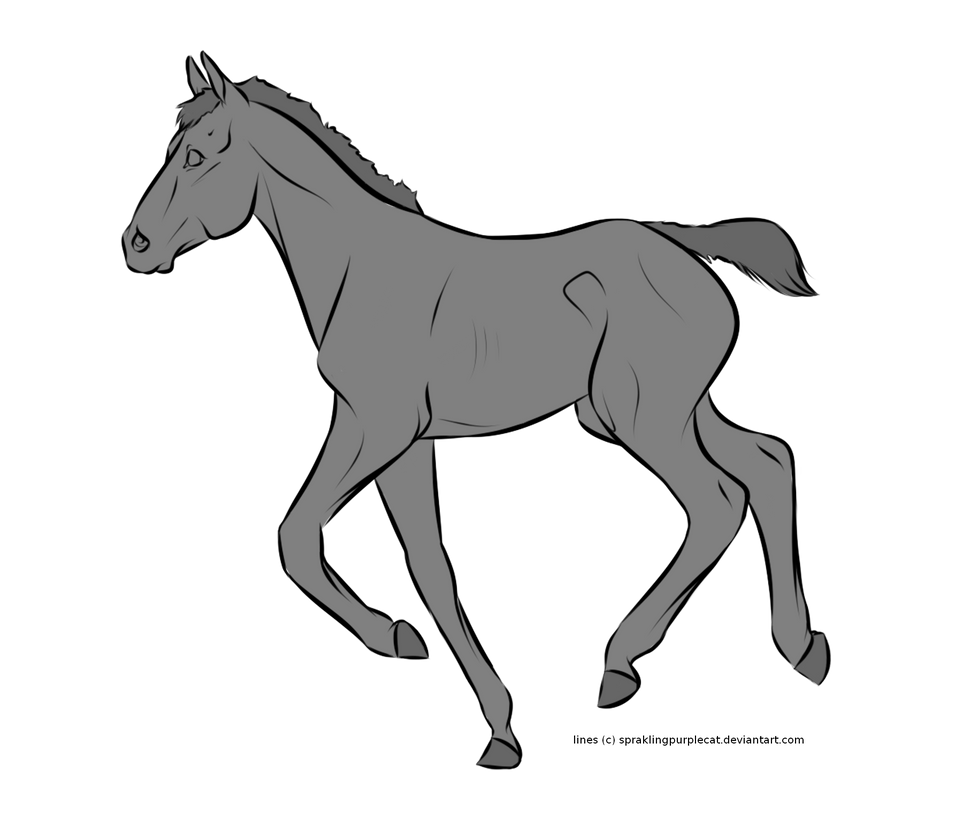 Foal Lines by SpraklingPurpleCat on DeviantArt