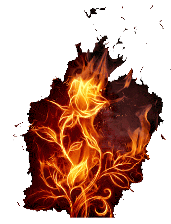 Burning-rose-gif-4project by Phaxan on DeviantArt