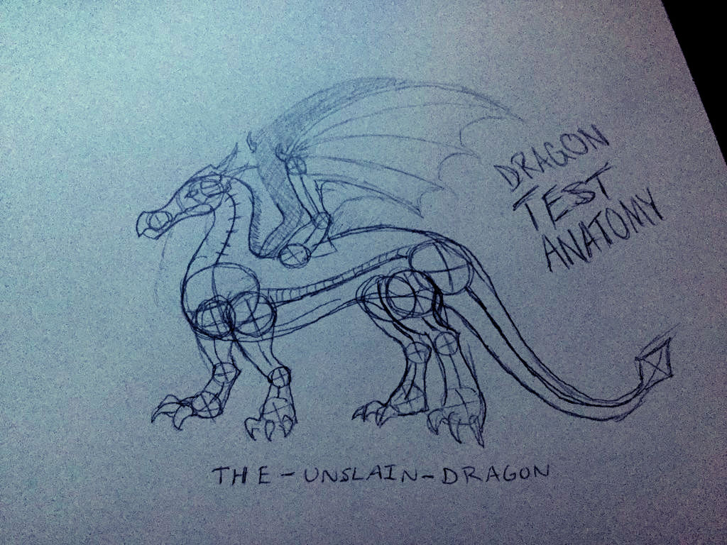 Full-body Dragon Test Draw by The-Unslain-Dragon on DeviantArt