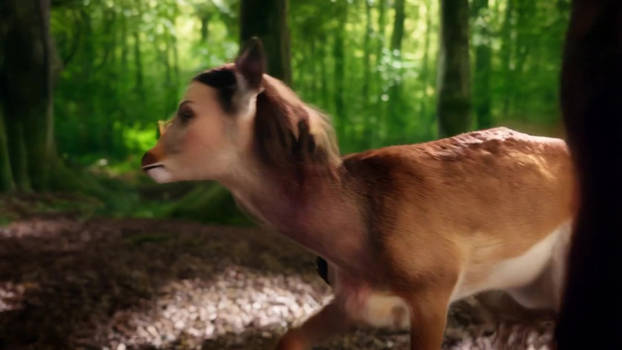 herosand User Profile | DeviantArt