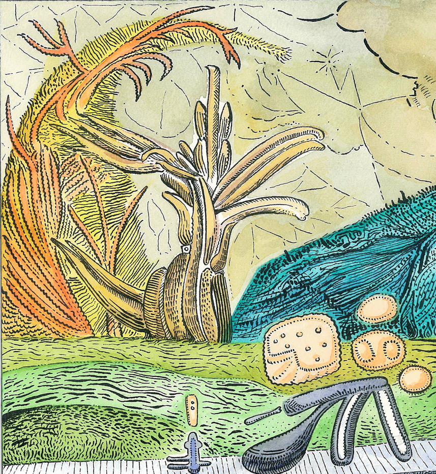 MOUNTAIN CREATURES- DETAIL by jeremiahkauffman on DeviantArt