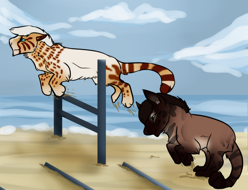 WATI by ninjastarhate on DeviantArt