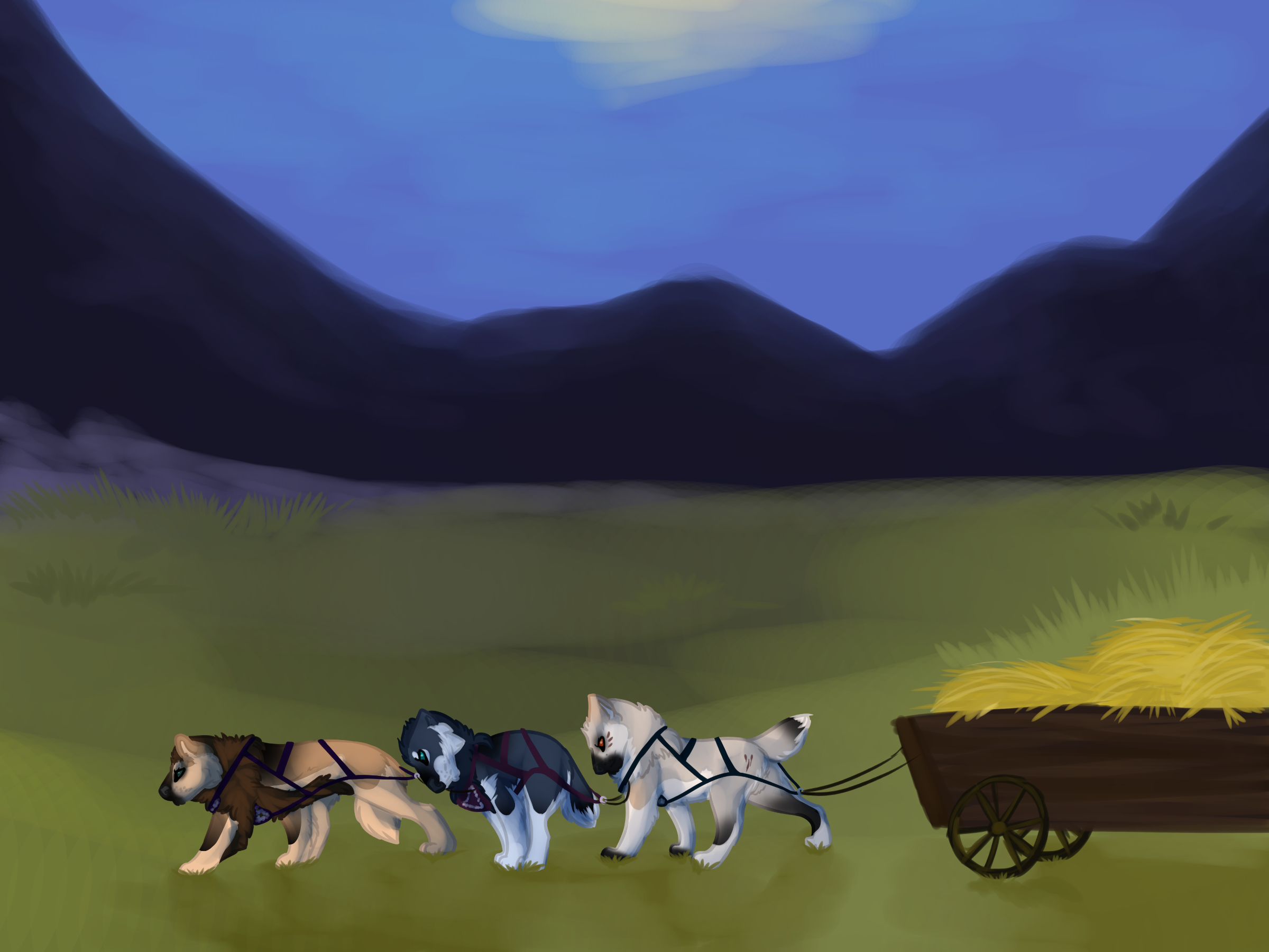 AoA3 by ninjastarhate on DeviantArt