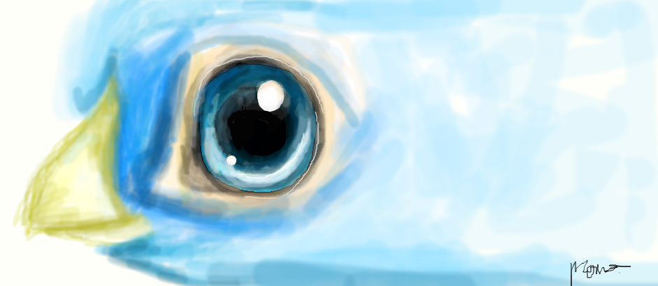 burdie by Kewlzzy on DeviantArt