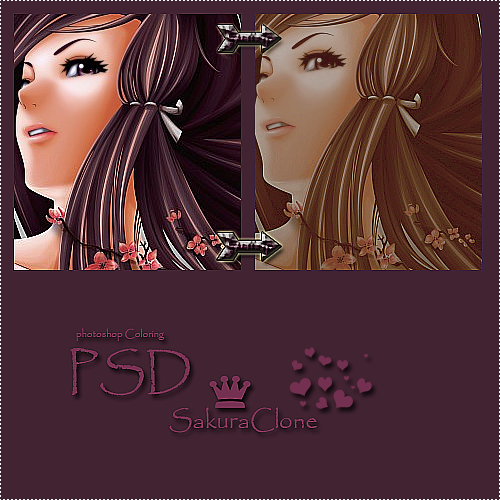brownish Photoshop psd coloring 008 by SakuraCloneHime on DeviantArt