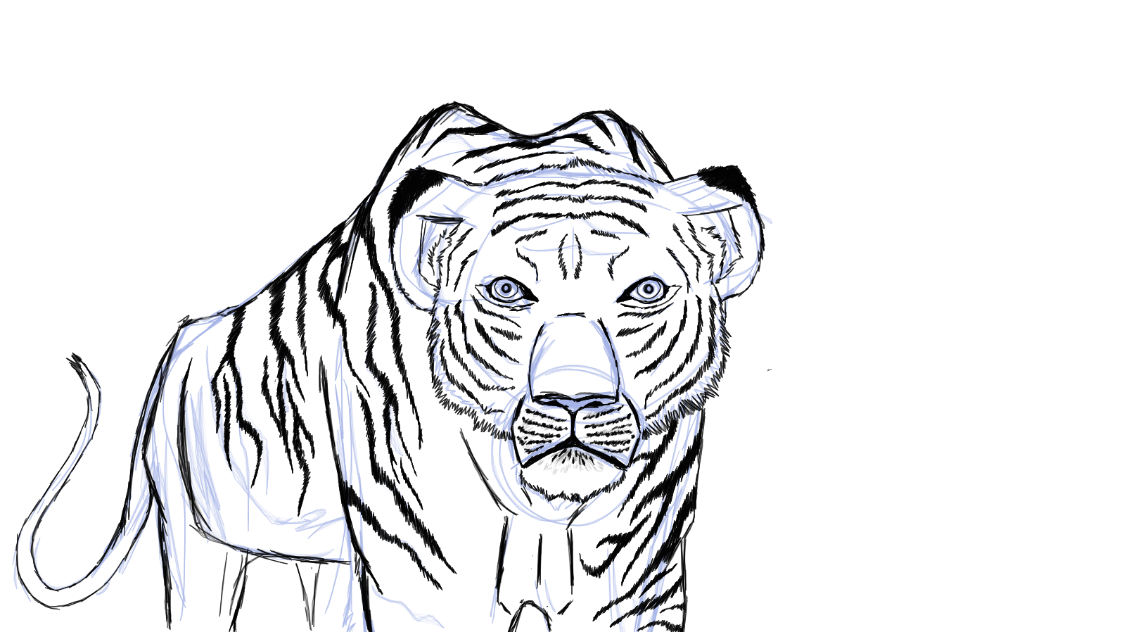 Tiger test by Novamica on DeviantArt