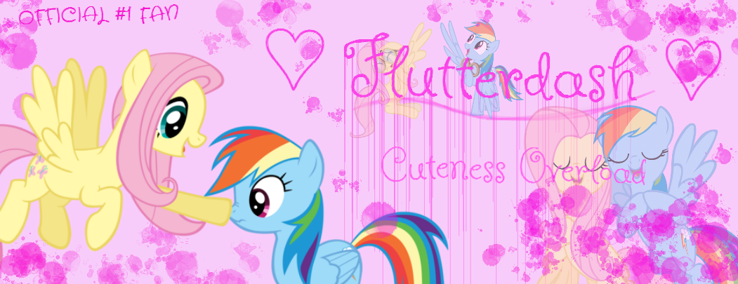 Official #1 Fan Flutterdash Cover by sparklenbloom on DeviantArt