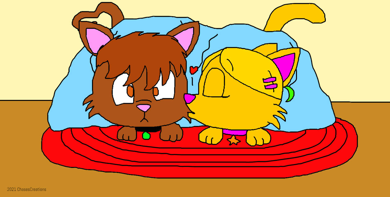 Cozy Cats by ChasesCreations on DeviantArt