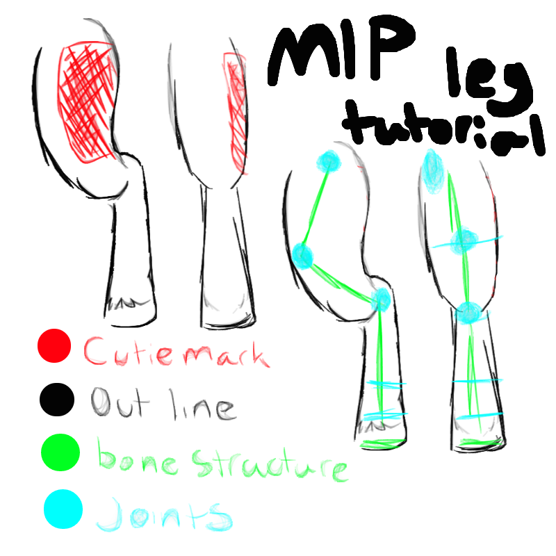 MLP leg tutorial by Tacotron2000 on DeviantArt