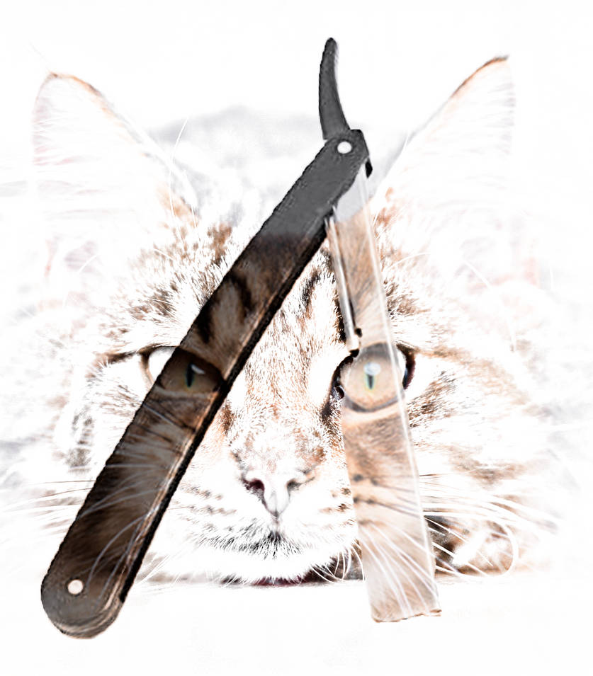 The Skinned Cat by Fracadactyl on DeviantArt