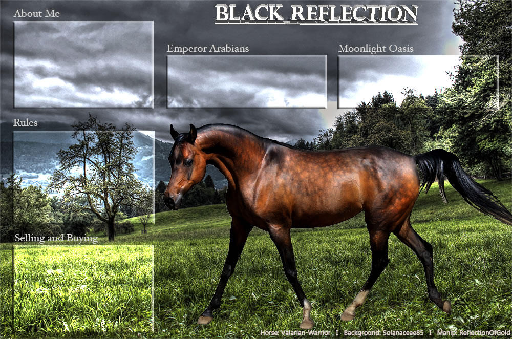 Layout For Howrse by ReflectionOfGold on DeviantArt