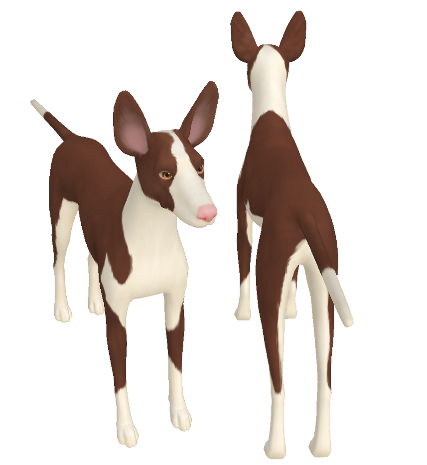 [XPS] The Sims 4: Ibizan Hound by TrashBoiAlex on DeviantArt