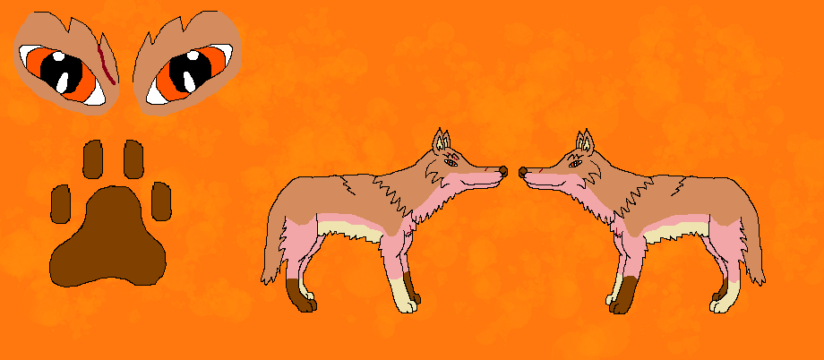 Snookie ref by coywolf99Azada on DeviantArt
