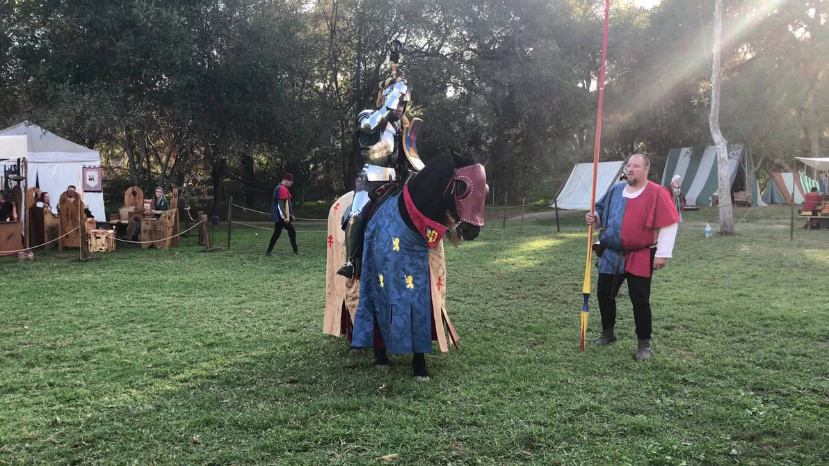 French Mounted Knights Jousting Visor Closed by LagovulpesTheGentle on ...