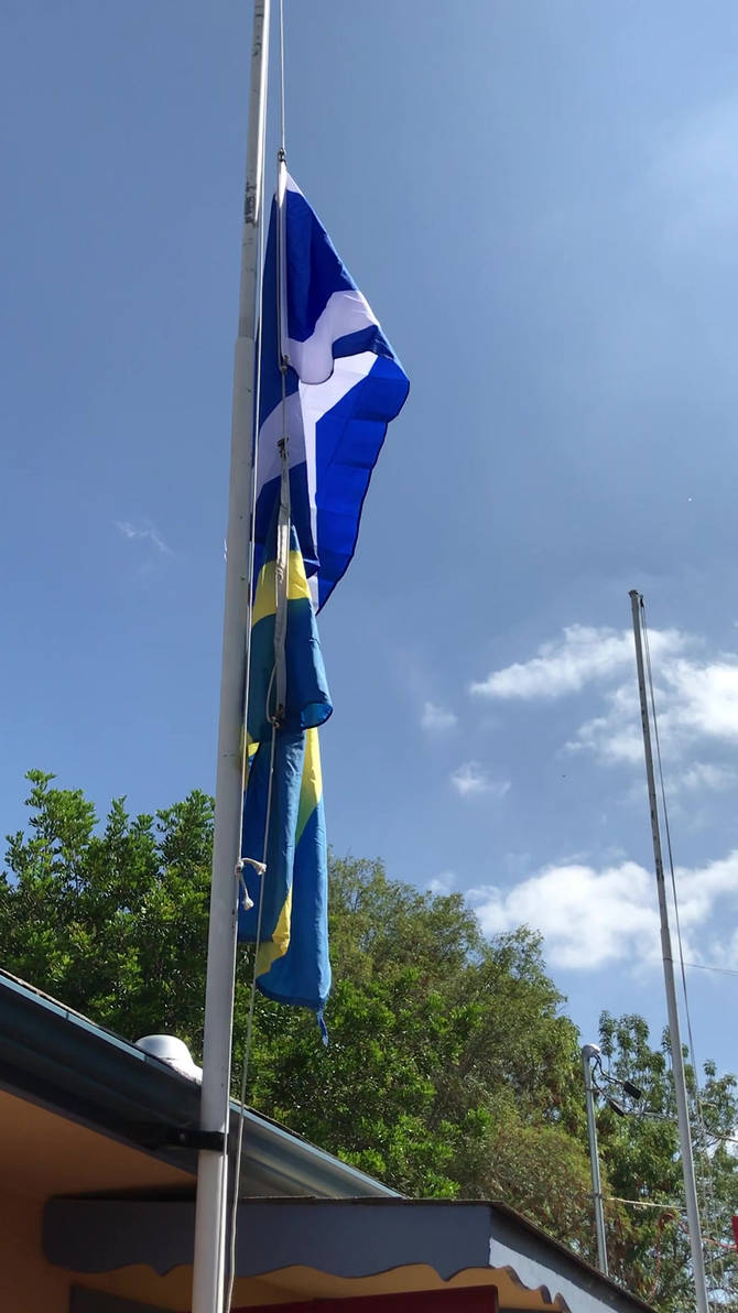 The Viking Flag rise up by LagovulpesTheGentle on DeviantArt