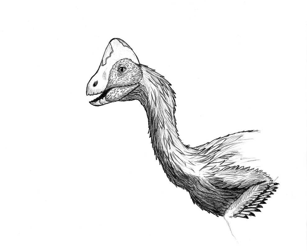 Oviraptorid by nwfonseca on DeviantArt