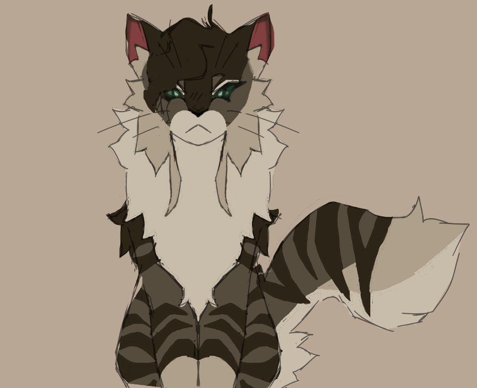 My OC hawkfeather by hazelbreeze123 on DeviantArt