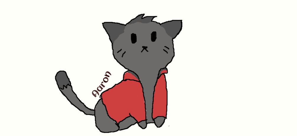 Aaron the cat by ConquestKitty on DeviantArt