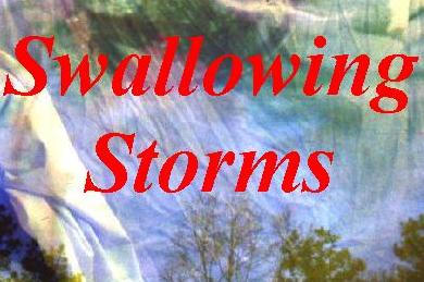 Swallowing Storms by BethBurt on DeviantArt