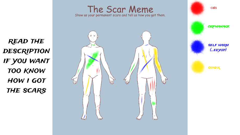 The Scar Meme by Crystalsz on DeviantArt