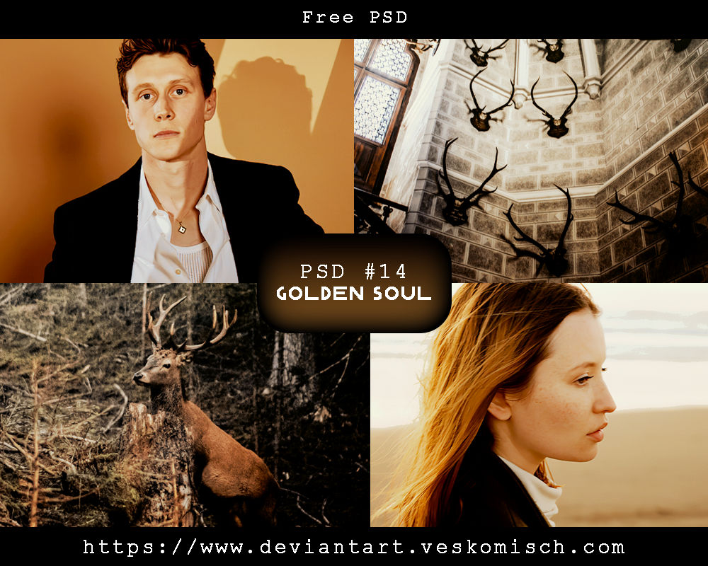 PSD#13 || Golden Soul by VesKomisch on DeviantArt
