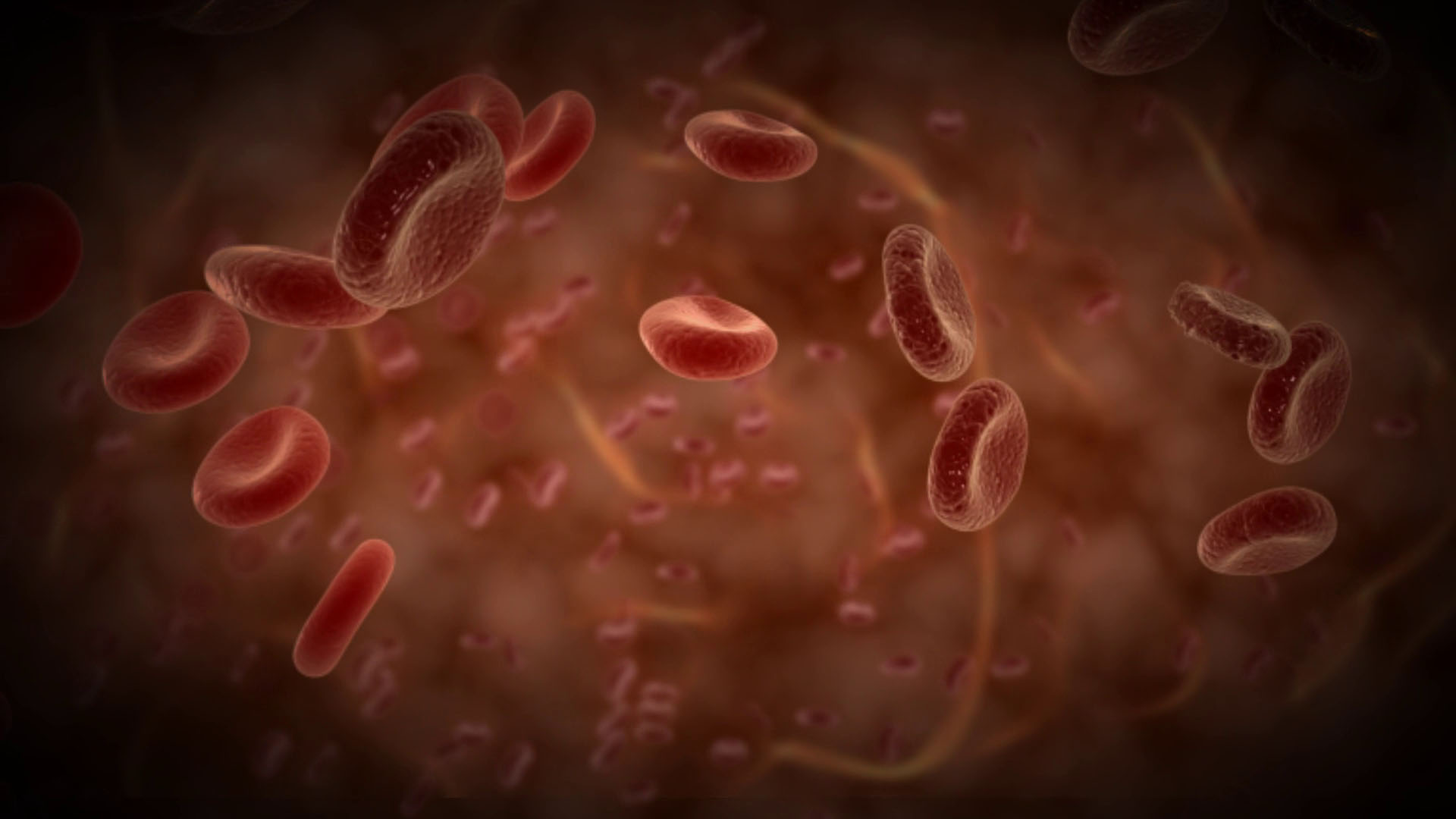 Blood Cell by MP1331 on DeviantArt