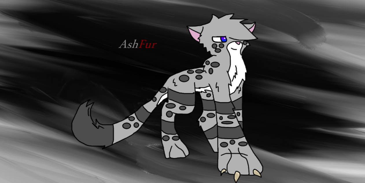 Warriors AshFur by WARRIORJP on DeviantArt