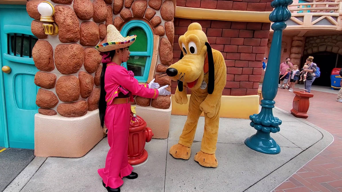 I met Mickey's dog, Pluto at Toontown May 2023 by BerryViolet on DeviantArt