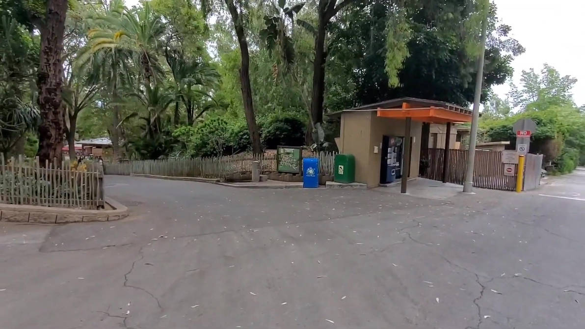 Pt 9 Wynonna Woodpecker in LA Zoo Tour Adventure by BerryViolet on ...
