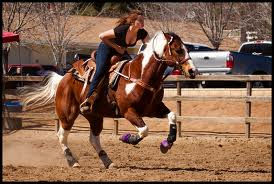 Kat Levy Wikipedia by LaceyLaLa on DeviantArt