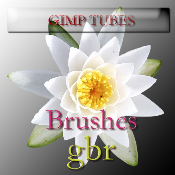 gimp flower tubes gbr brushes by feniksas4 on DeviantArt