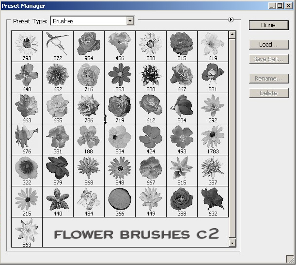 flower brushes c2 by feniksas4 on DeviantArt