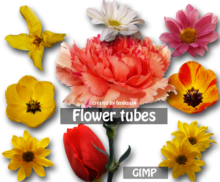 GIMP flower brushes part7 by feniksas4 on DeviantArt
