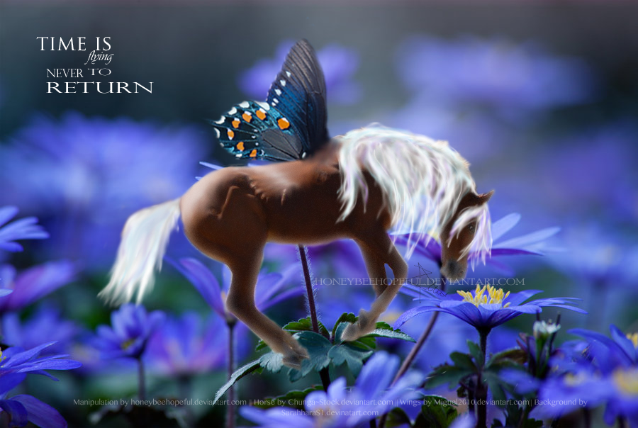 The Floating Angel by HoneyBeeHopeful on DeviantArt