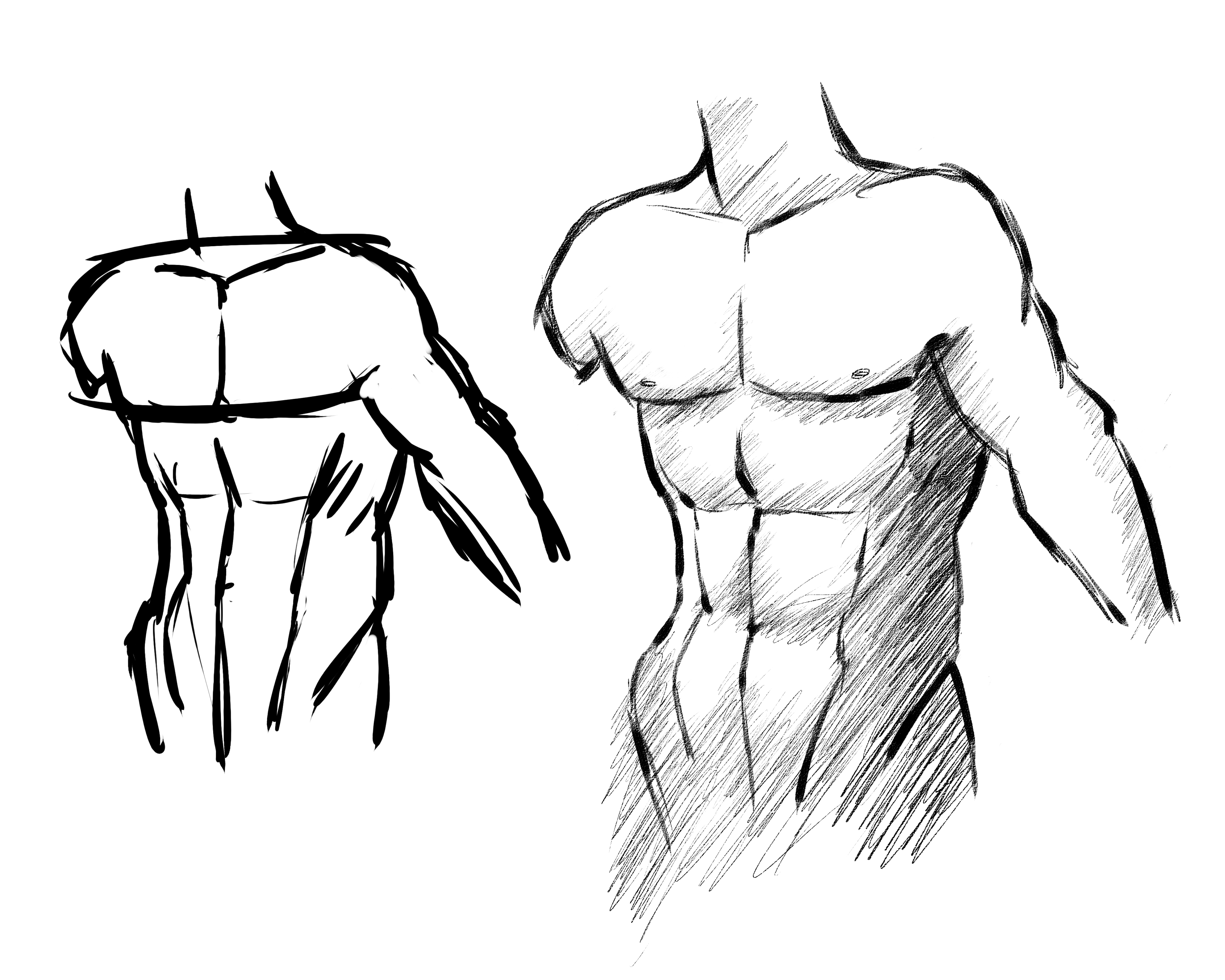 Torso 2 by Dcube333 on DeviantArt