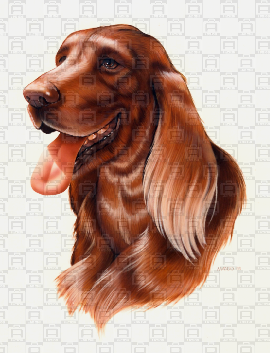 Dog Irish Setter by ArmandoBaez1949 on DeviantArt