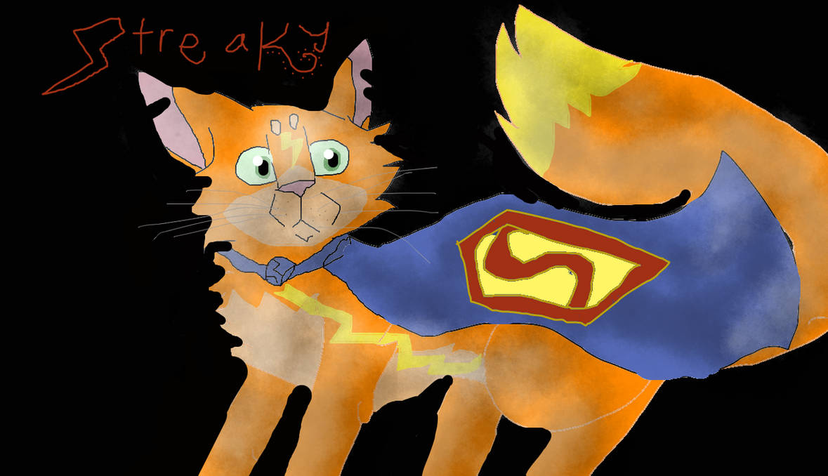 Streaky The SuperCat by espeon57 on DeviantArt